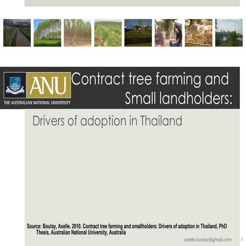 Contract tree farming and smallholders: Drivers of adoption in Thailand ...