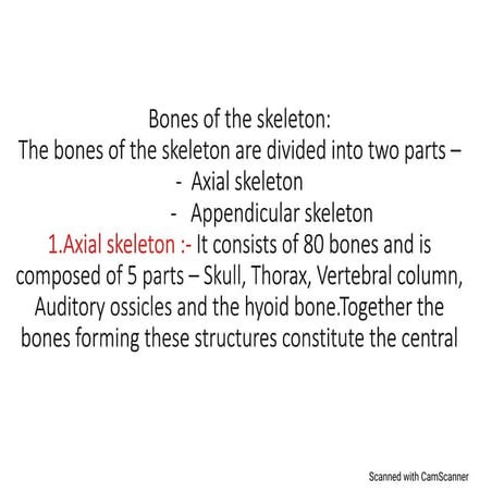 Axial skeleton | PDF