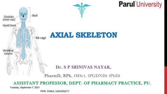 anatomy of human skull | PPT