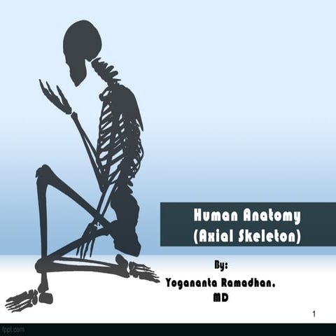 Appendicular skeleton | PPT