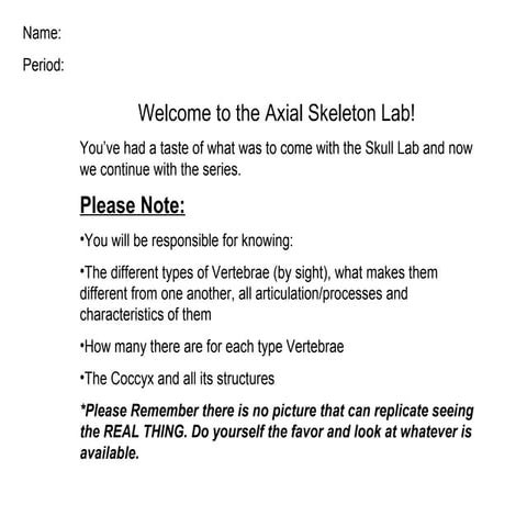 Axial skeleton lab | PPT