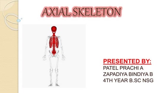 Human Skeletal System, Class 11 (Science).pptx