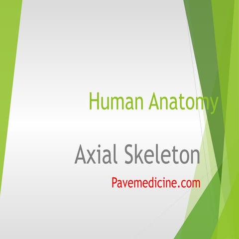 Axial skeletons | PPT