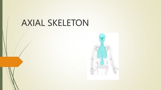 Skeletal System: Bones and Joints _ 6.10 (Axial Skeleton).pdf