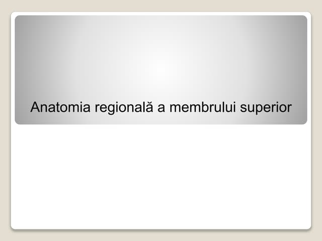 Anatomia membrului superior - recapitulare | PPTX