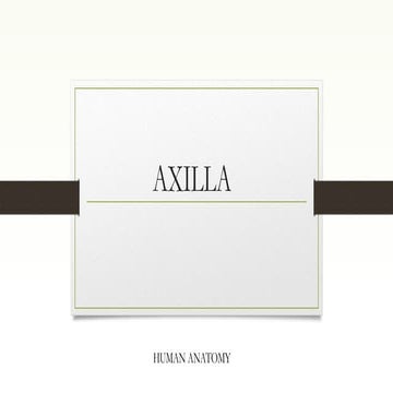 Axilla anatomy | PPTX