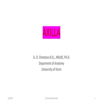 12_dEvents at Sternal Angle of Louis.pdf
