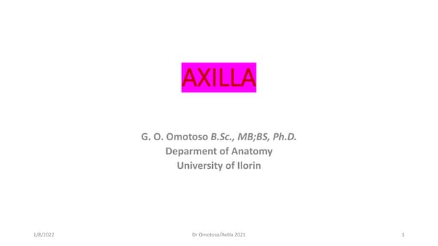 4-AXILLA.ppt anatomy of the axillary region | PPT