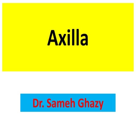 Axilla - Dr .Sameh Ghazy | PPTX