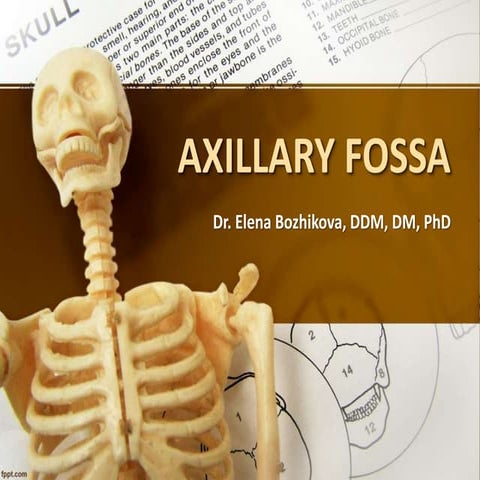 Axillary fossa_12.7.23.pptx