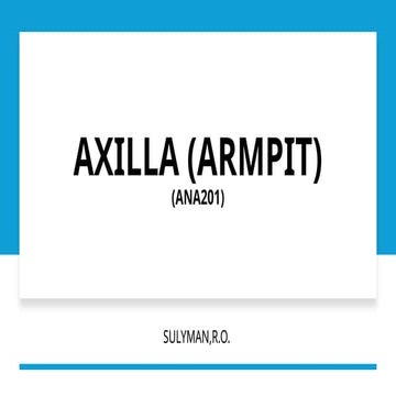 Axilla gross anatomy of human being in medicine | PPTX
