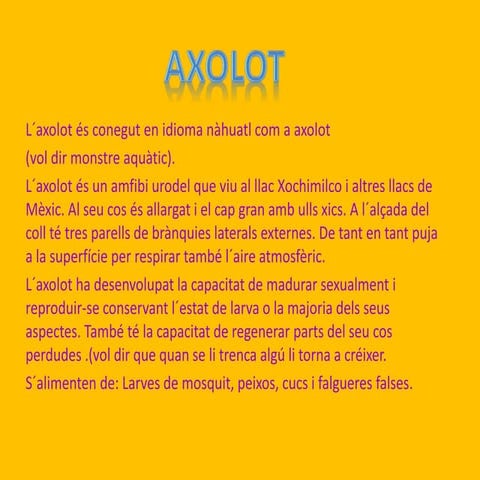 Axolot | PPTX