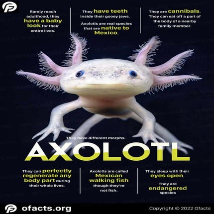 Axolotl facts | PDF