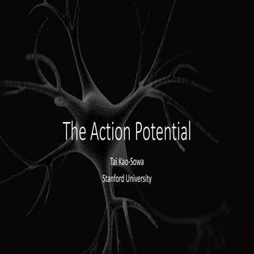 The Action Potential | PPTX