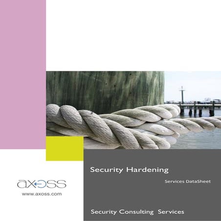 Axoss Security Hardening Services | PDF