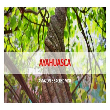 Ayahuasca- A Tradtional Plant Medicine & Sacred Vine of Amazon | PPT