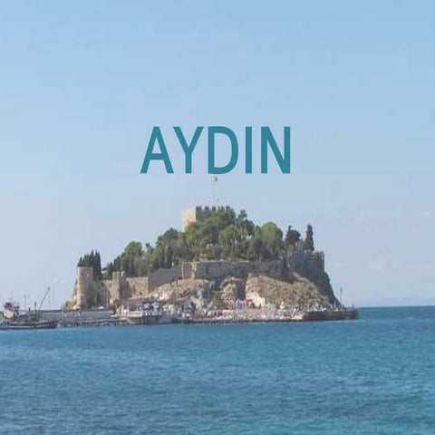 Aydin | PPT