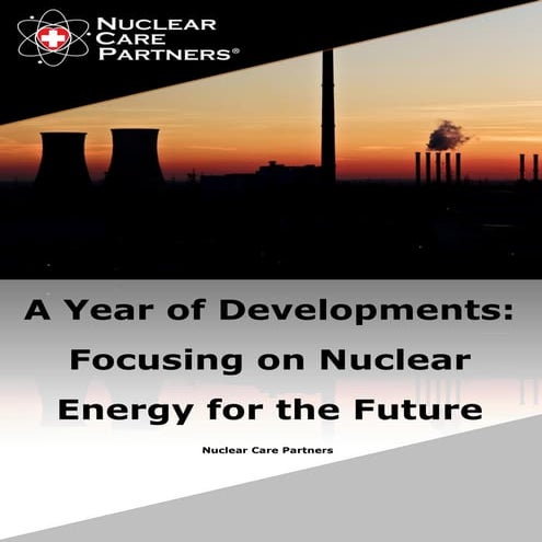 A Year of Developments: Focusing on Nuclear Energy for the Future | PDF