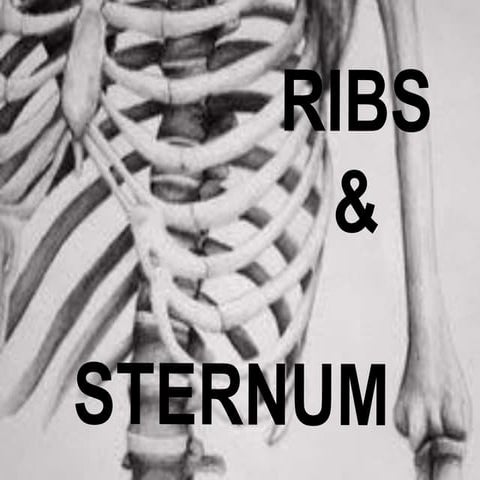 AYESHA BIBI (30) ribs and sternum.pptx