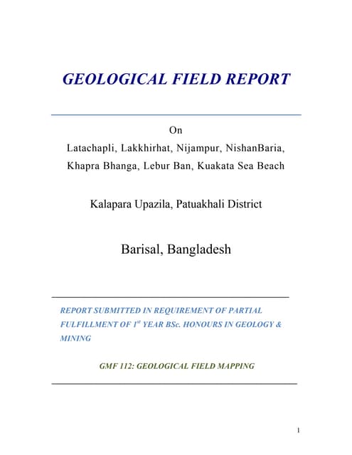 Geological fieldwork report | PDF