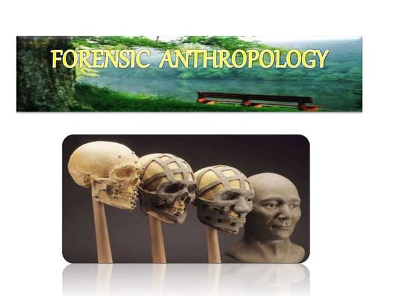 Forensic anthropology | PPTX