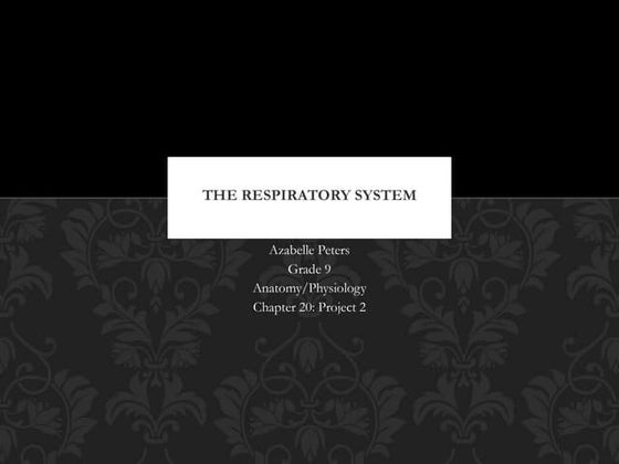 Lecture 11 respiratory system | PPT