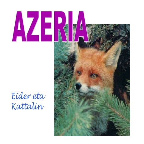 Azeria | PPT