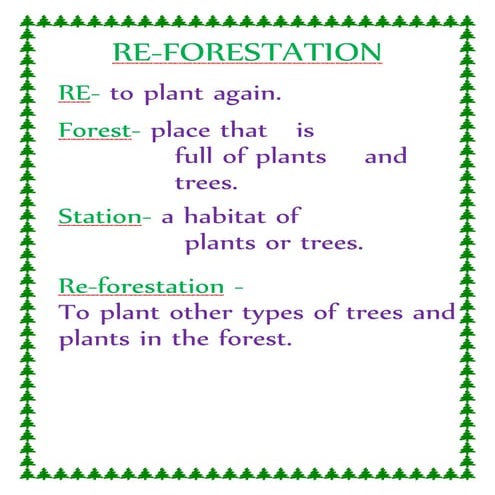 reforestation meaning | DOCX