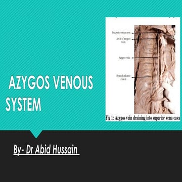 Azygos Venous System Pptx Full Note Anatomy Pptx