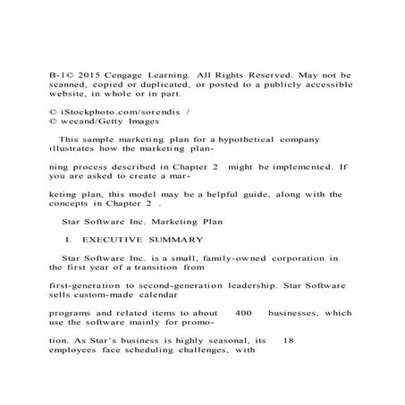 Software sample marketing plan | PDF