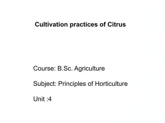 Cultivation practices of Citrus | PPTX | Agriculture | Industries