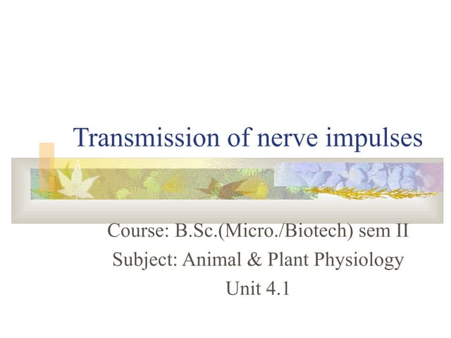 Transmission of nerve impulses | PPT