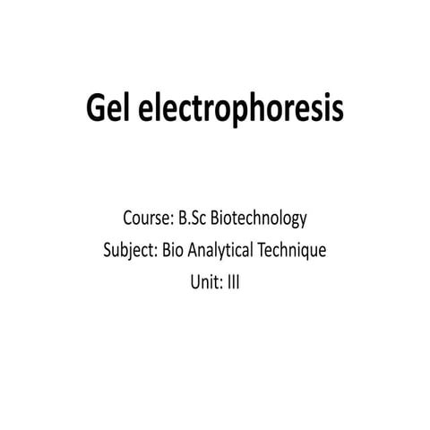 B.Sc Biotech II BAT Unit 3 Electrophoresis | PPT