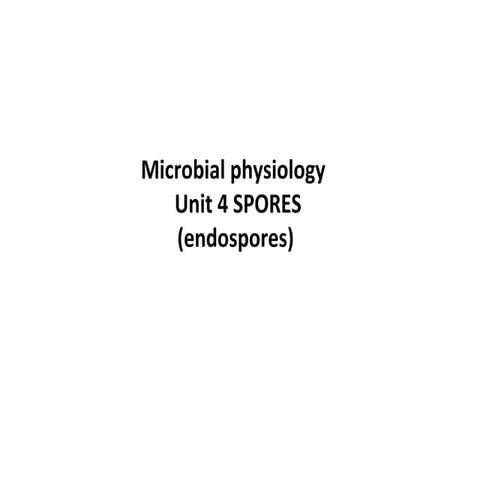 bacterial spore.ppt