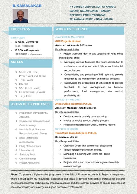 Resume_Professional | PDF