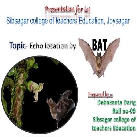 zoology seminar: Echolocation by Bat | PPTX