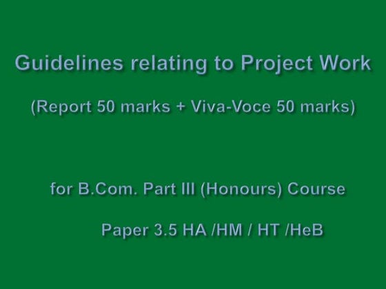 Project Guidelines.pdf