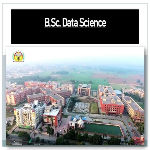 B.Sc Data Science (1).pdf