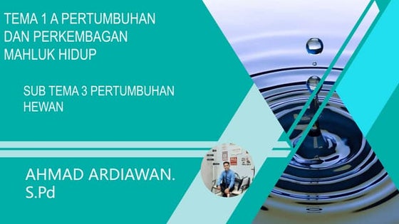 CONTOH Handout | PDF