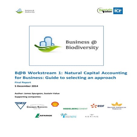 B at-b-platform-nca-workstream-final-report | PDF