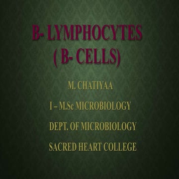 B- LYMPHOCYTES (TYPES AND IT'S FUNCTIONS).pptx