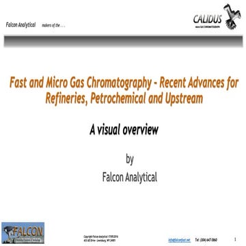 Fast & Micro GC Presentation | PDF