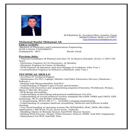 Mohamad Raafat CV for Print 2 | PDF