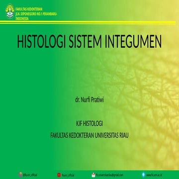 HISTOLOGI KULIT DAN INTEGUMEN Manusia normal | PPTX