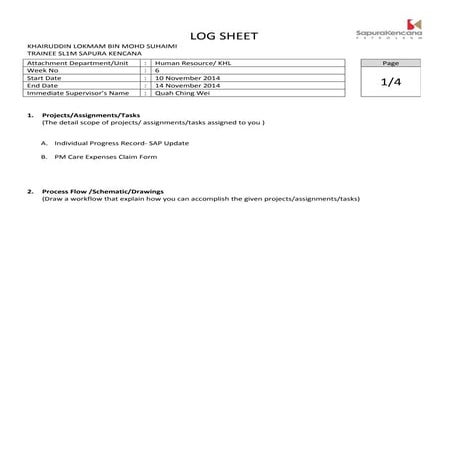Log Sheet - PM care and SAP | DOC | Business | Business and Finance