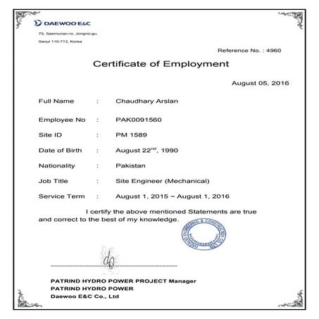 DW Exp Certificate (Arsalan) | PDF