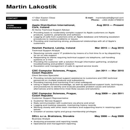 CV Martin Lakostik | PDF