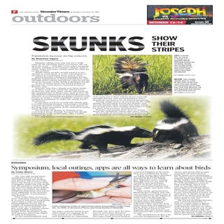 Skunks | PDF