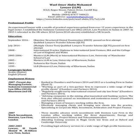 wael abdin cv | DOCX | Legal Services Industry | Industries