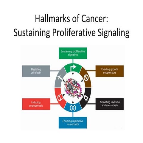 Hallmarks of Cancer - Sustained Proliferative Signaling | PPTX